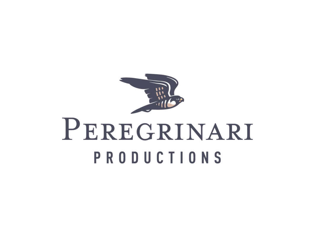 Logos - Curio Studio