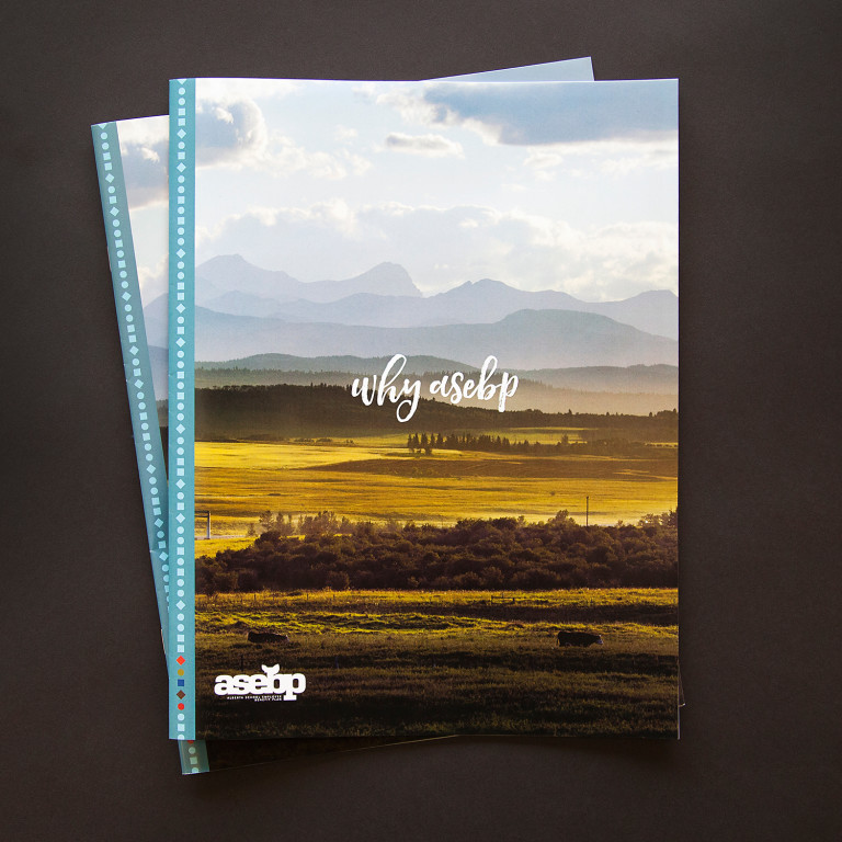 ASEBP Brand Refresh - Curio Studio